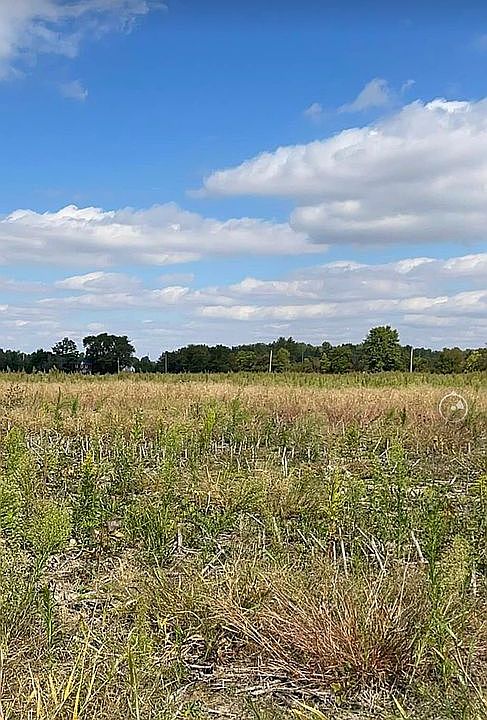 Tyler Rd, Ostrander, OH 43061 | Zillow