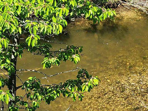 532 Elizabeth St, Petoskey, MI 49770 | MLS #470398 | Zillow