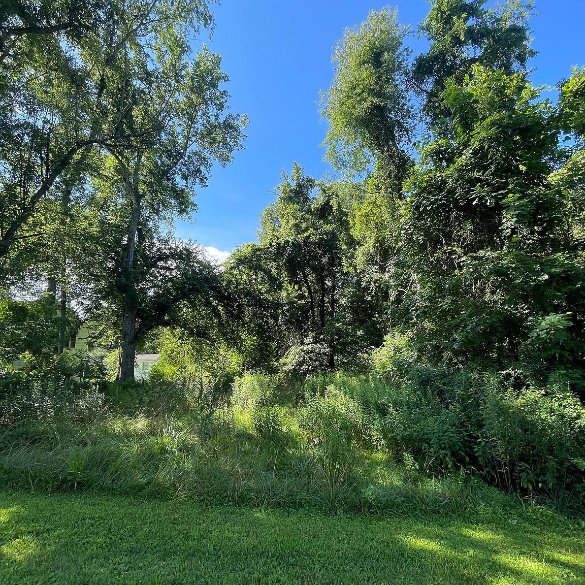 LOT 620 Ellis Dr, Louisa, VA 23093 | Zillow