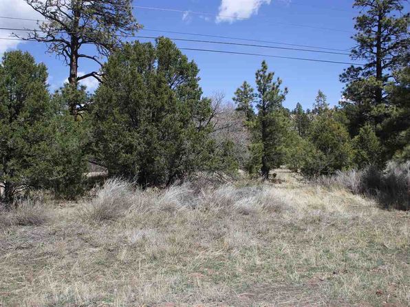 Cimarron NM Real Estate - Cimarron NM Homes For Sale | Zillow