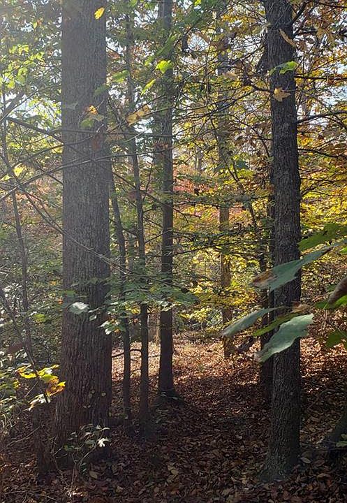 0 Axton Rd, Axton, VA 24054 | MLS #62814 | Zillow