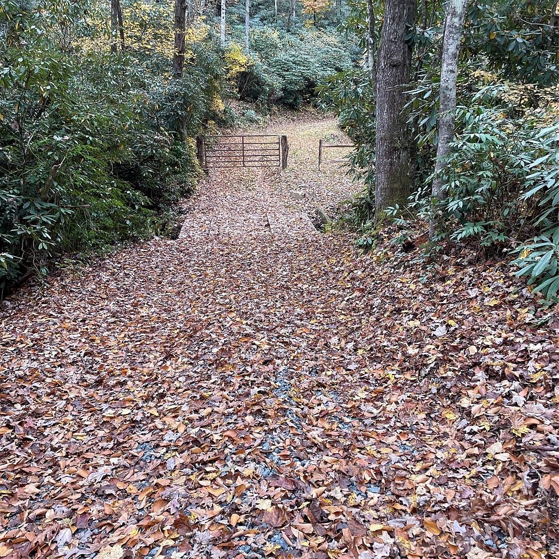 475 Lyday Creek Rd, Pisgah Forest, NC 28768 | Zillow