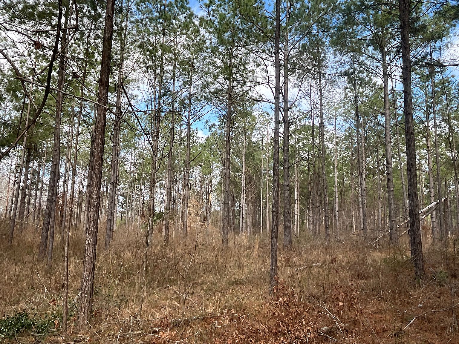 Miller Cres #35, Doddridge, AR 71834 | Zillow