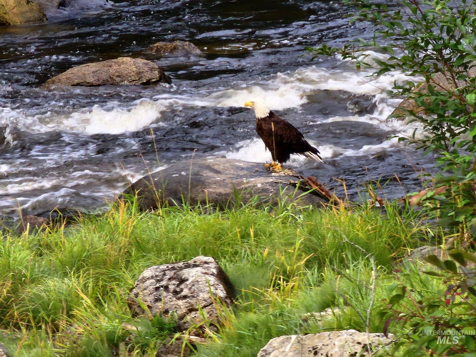 0 Carrot Ridge Rd, Orofino, ID 83544 | Zillow