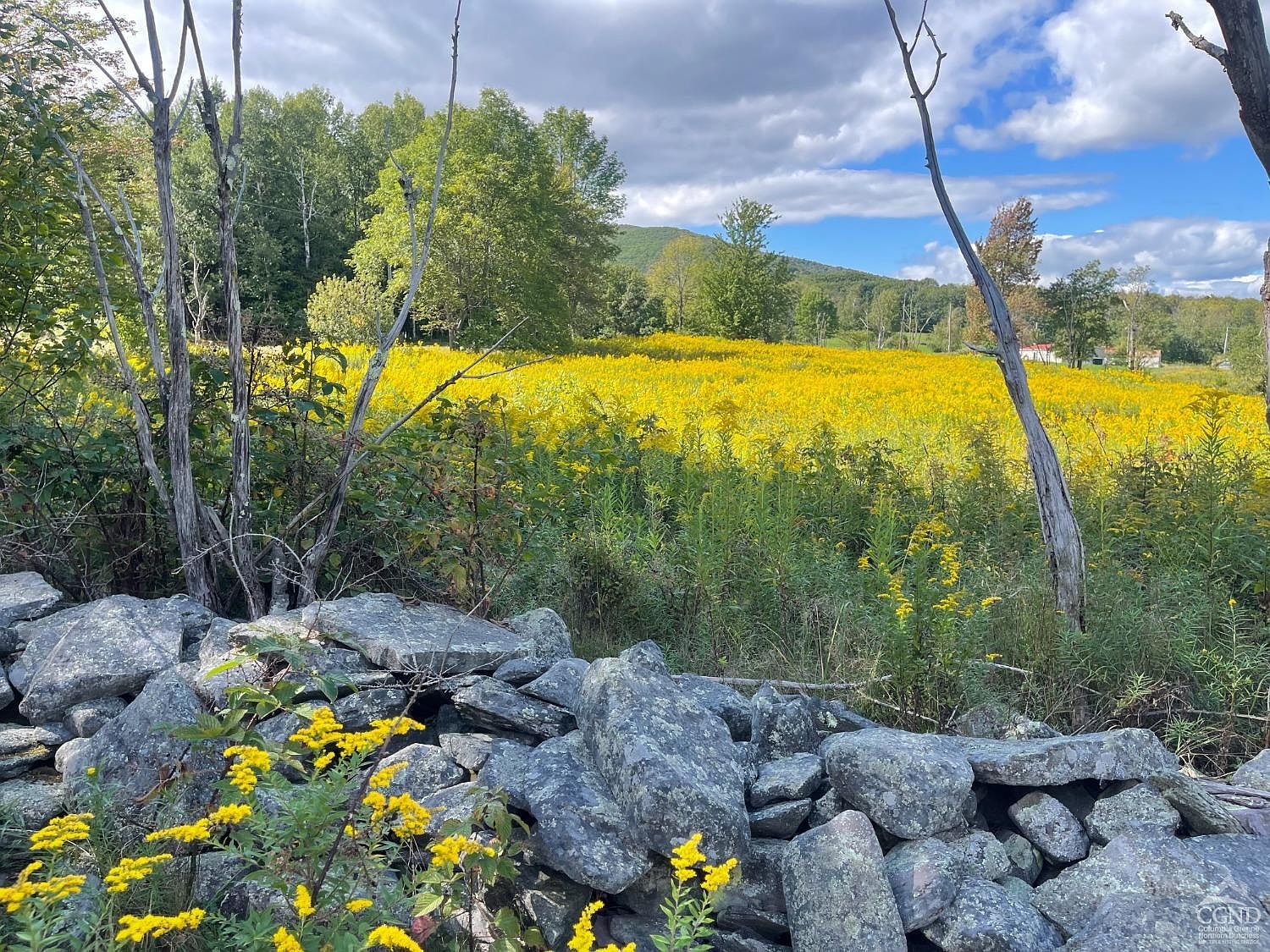 167 Peckham Rd Prattsville Ny 12468 Mls 142826 Zillow