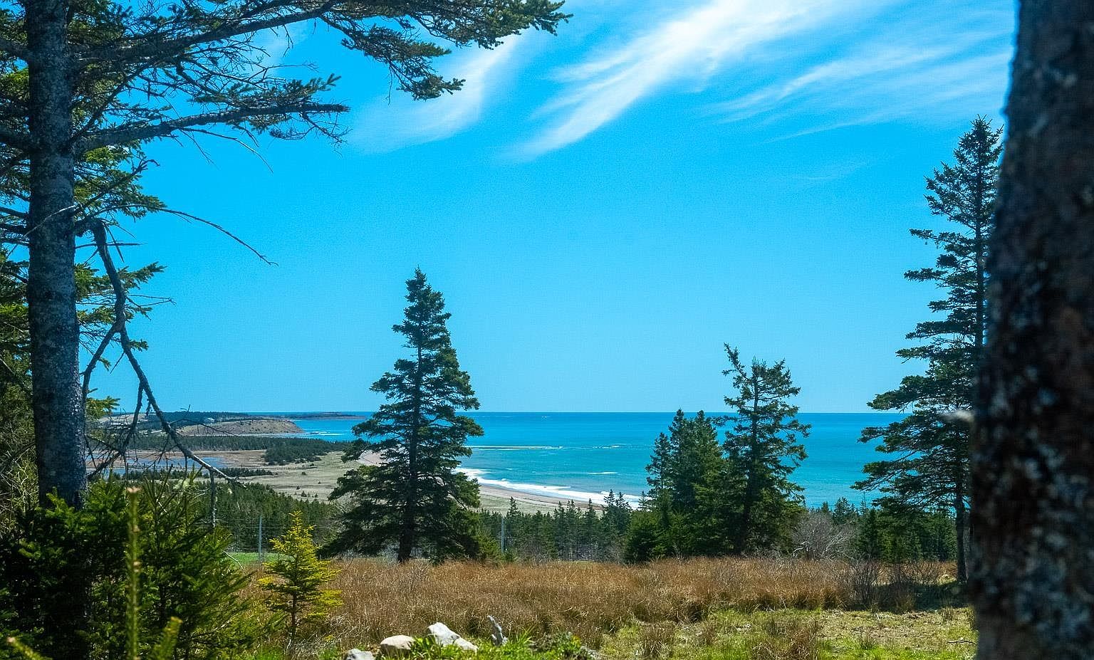 51 Moss Close LOT 2, Halifax, NS B2Z 1S5 | MLS #202409925 | Zillow