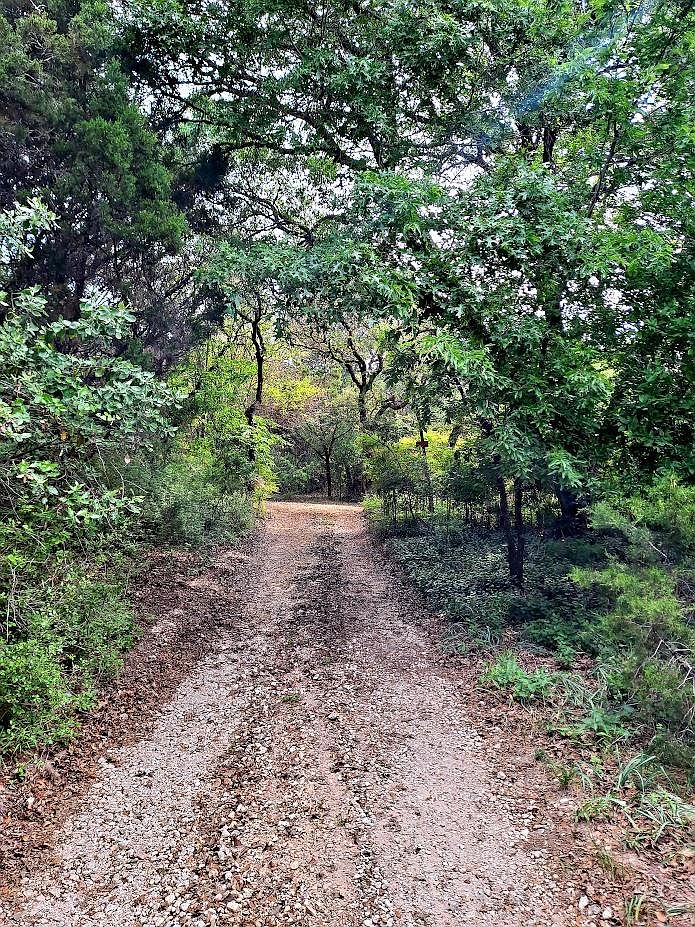 5403 Mount Bonnell Rd, Austin, TX 78731 | Zillow