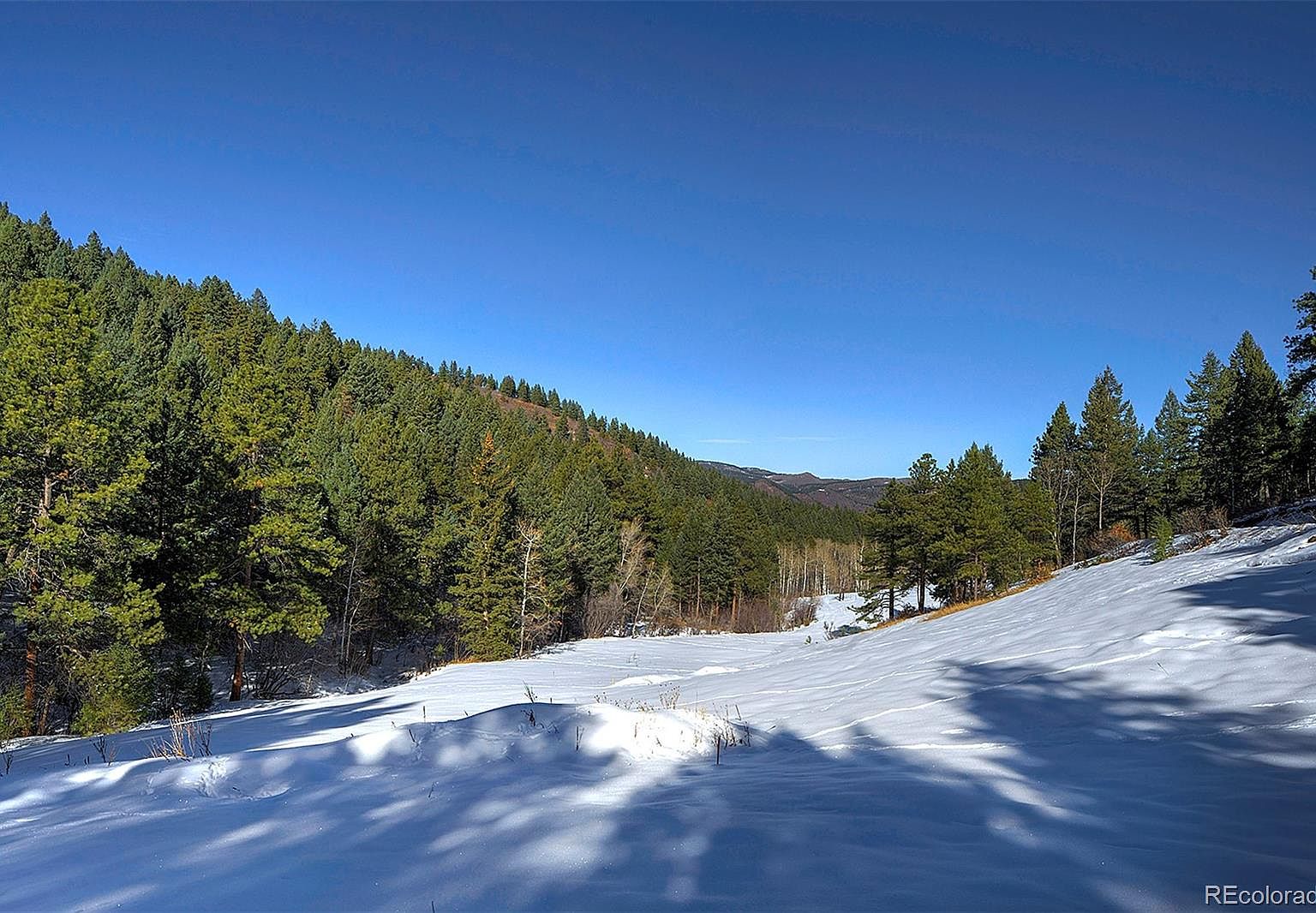 11725 S Maxwell Hill Road, Littleton, CO 80127 | MLS #4332846 | Zillow