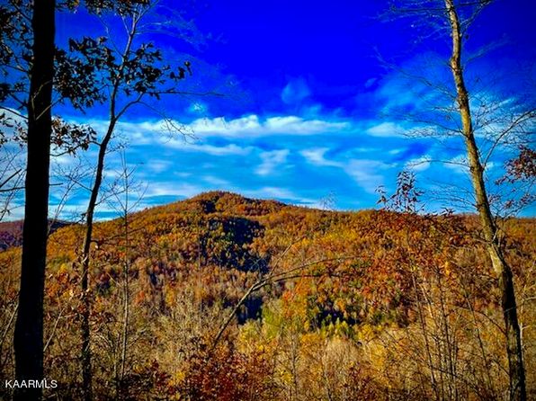 Newcomb Real Estate - Newcomb TN Homes For Sale | Zillow