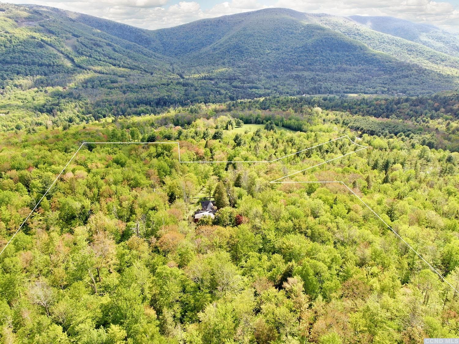 2493 Route 296, Hunter, NY 12442 | MLS #146638 | Zillow