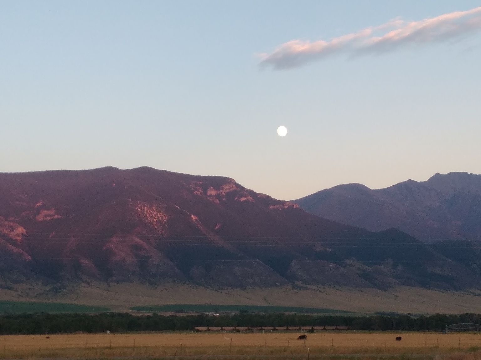 361 Mt Highway 55, Whitehall, MT 59759 | Zillow