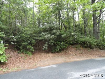 Chris Neer - Real Estate Agent in Sapphire, NC - Reviews | Zillow