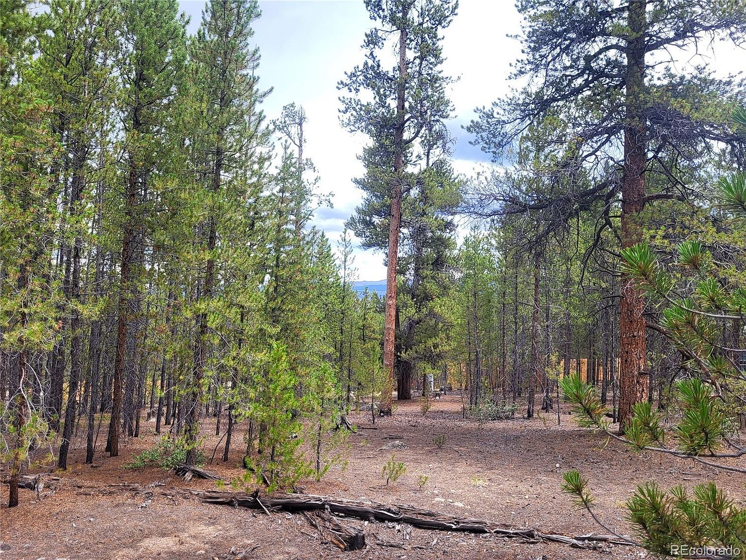 891 Sequoia Drive, Leadville, CO 80461 | Zillow