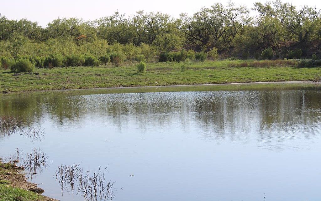 0 Fm 2134 #SU-152, Voss, TX 76888 | MLS #116580 | Zillow