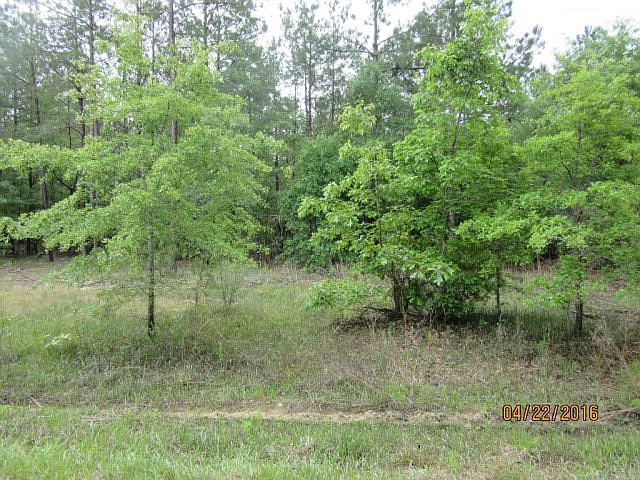 1080 Cheyenne Ct, Manning, SC 29102 | Zillow