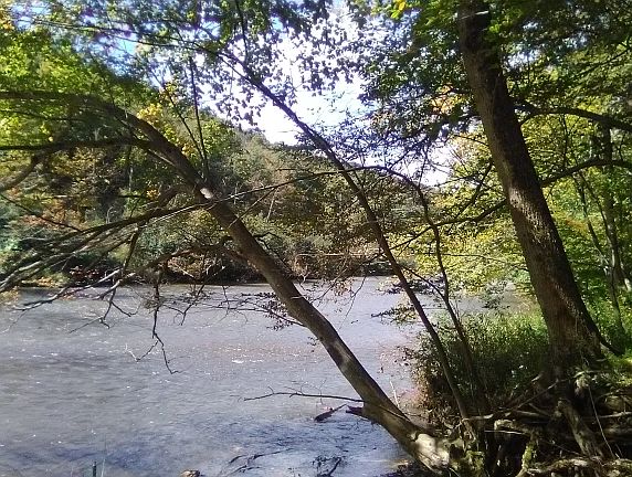 95 Byler Rd #E, Valier, PA 15780 | MLS #11317244 | Zillow