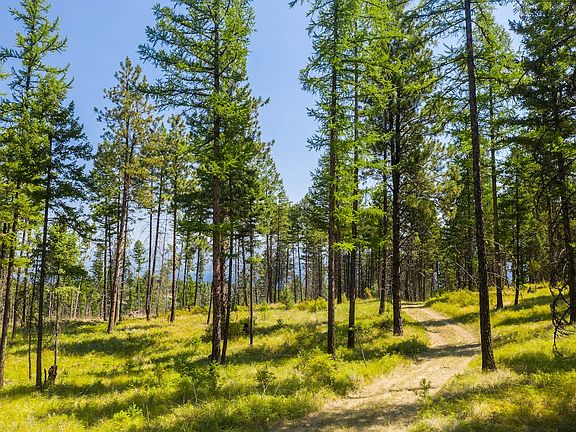 42 Lakeside Crest Dr, Lakeside, MT 59922 | Zillow