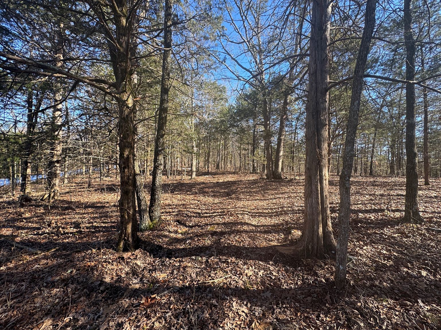 0 County Road 424 #WP001, Squires, MO 65755 | MLS #11419353 | Zillow