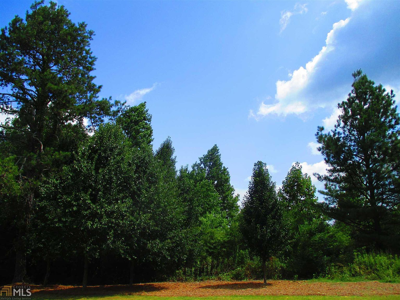 4875 Grandview Ct #48, Flowery Branch, GA 30542 | Zillow