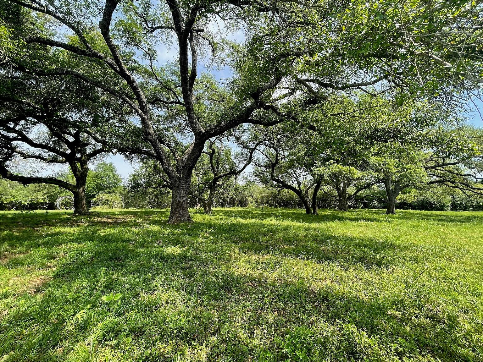 26039 Magnolia Rd LOT 4, Hockley, TX 77447 | MLS #67028406 | Zillow