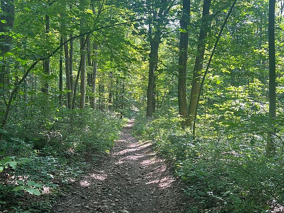 600 Edgewood Rd, Berlin, CT 06037 | MLS #24042176 | Zillow