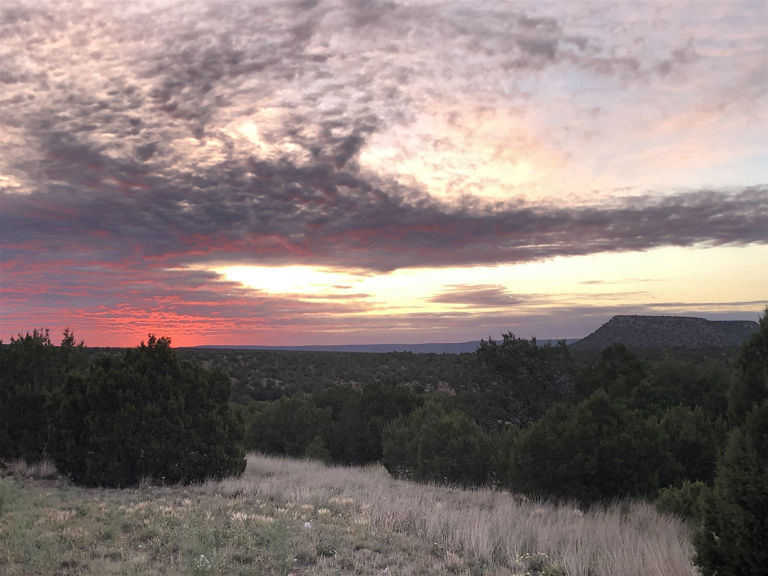 40 Pintada Ranches, Santa Rosa, NM 88435 | Zillow