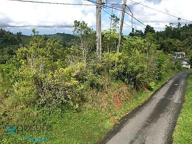 Km 1.1 Carr Pr #805, Corozal, PR 00783 | Zillow