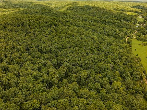 2164 Wayne Ave #220-B, Silva, MO 63964 | MLS #24061165 | Zillow