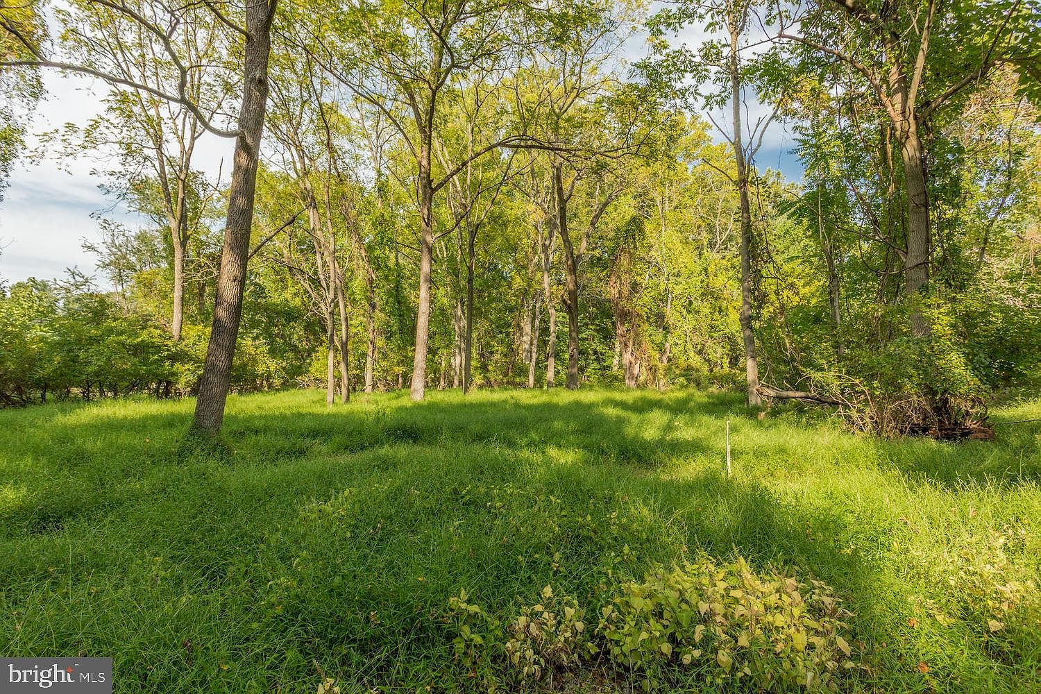 Land 13010 Brighton Dam Rd, Clarksville, MD 21029 | Zillow
