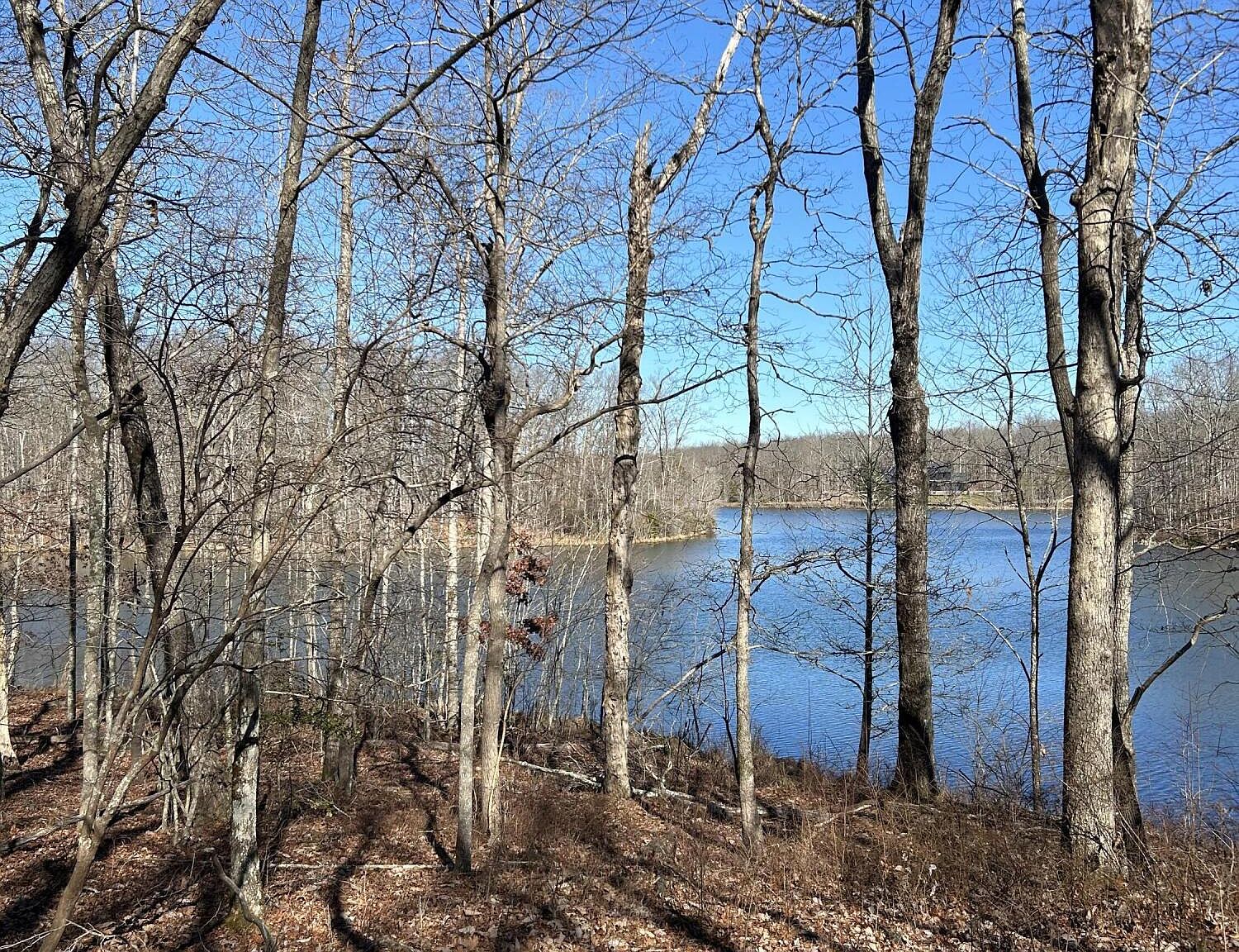 LOT 163 Lake Louisa Loop, Sewanee, TN 37375 | Zillow