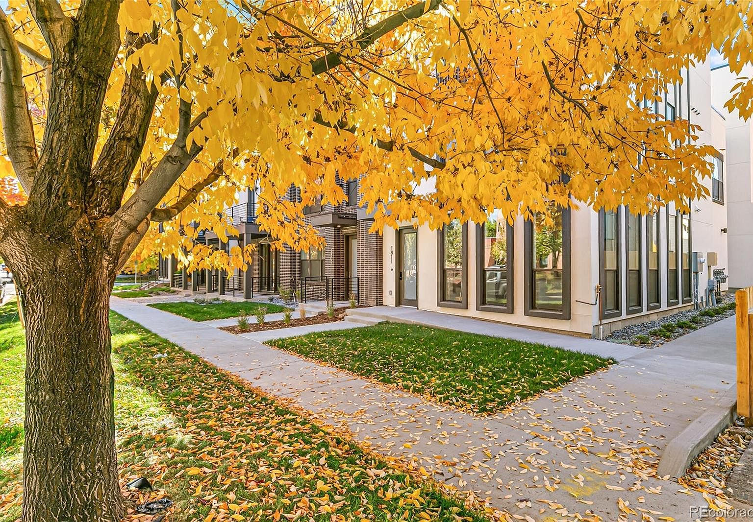 1809 N Williams, Denver, CO 80218 | Zillow