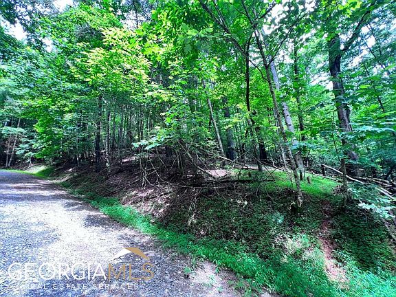 L3675 Fern Dr #3675, Ellijay, GA 30540 | MLS #10174128 | Zillow