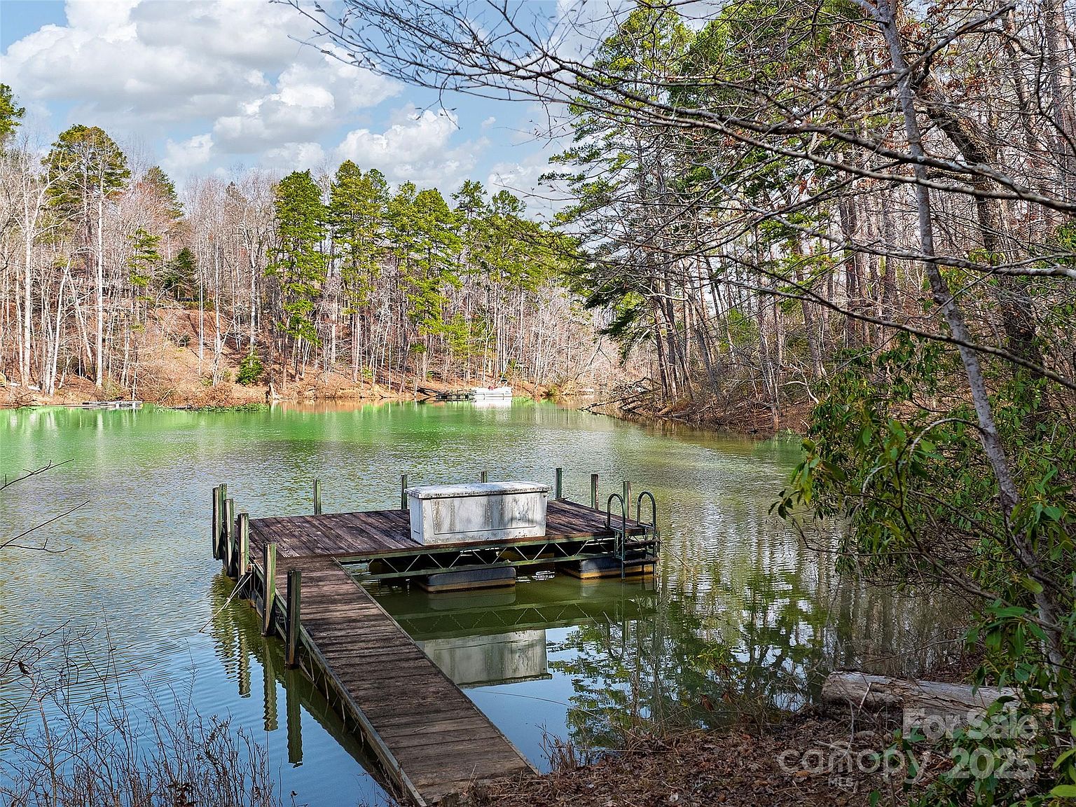 27 S Cove Rd, Mill Spring, NC 28756 | MLS #4234676 | Zillow