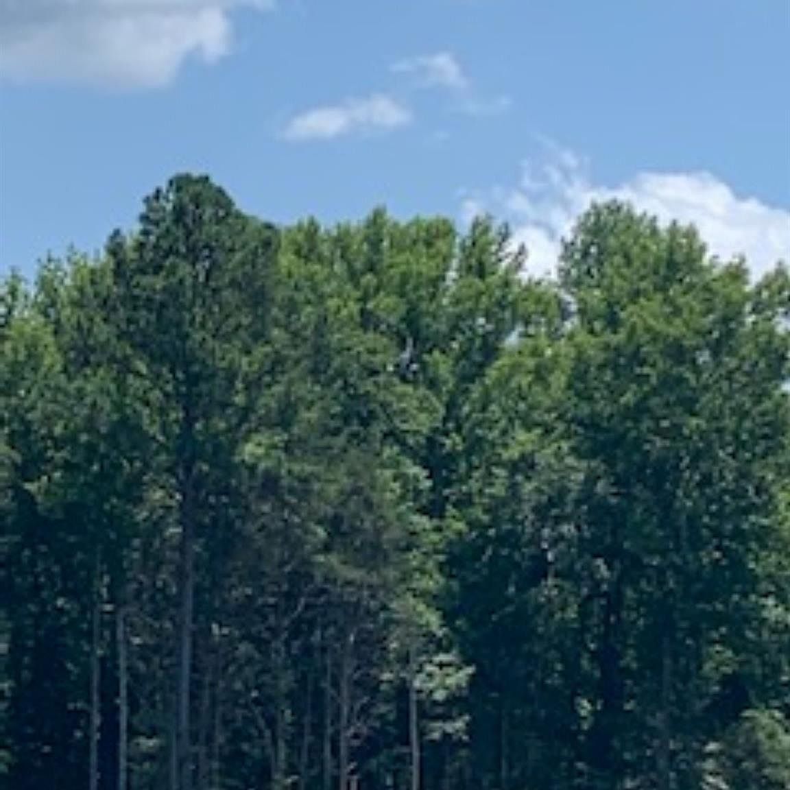 Brooktree Ln, Rock Hill, SC 29730 | Zillow