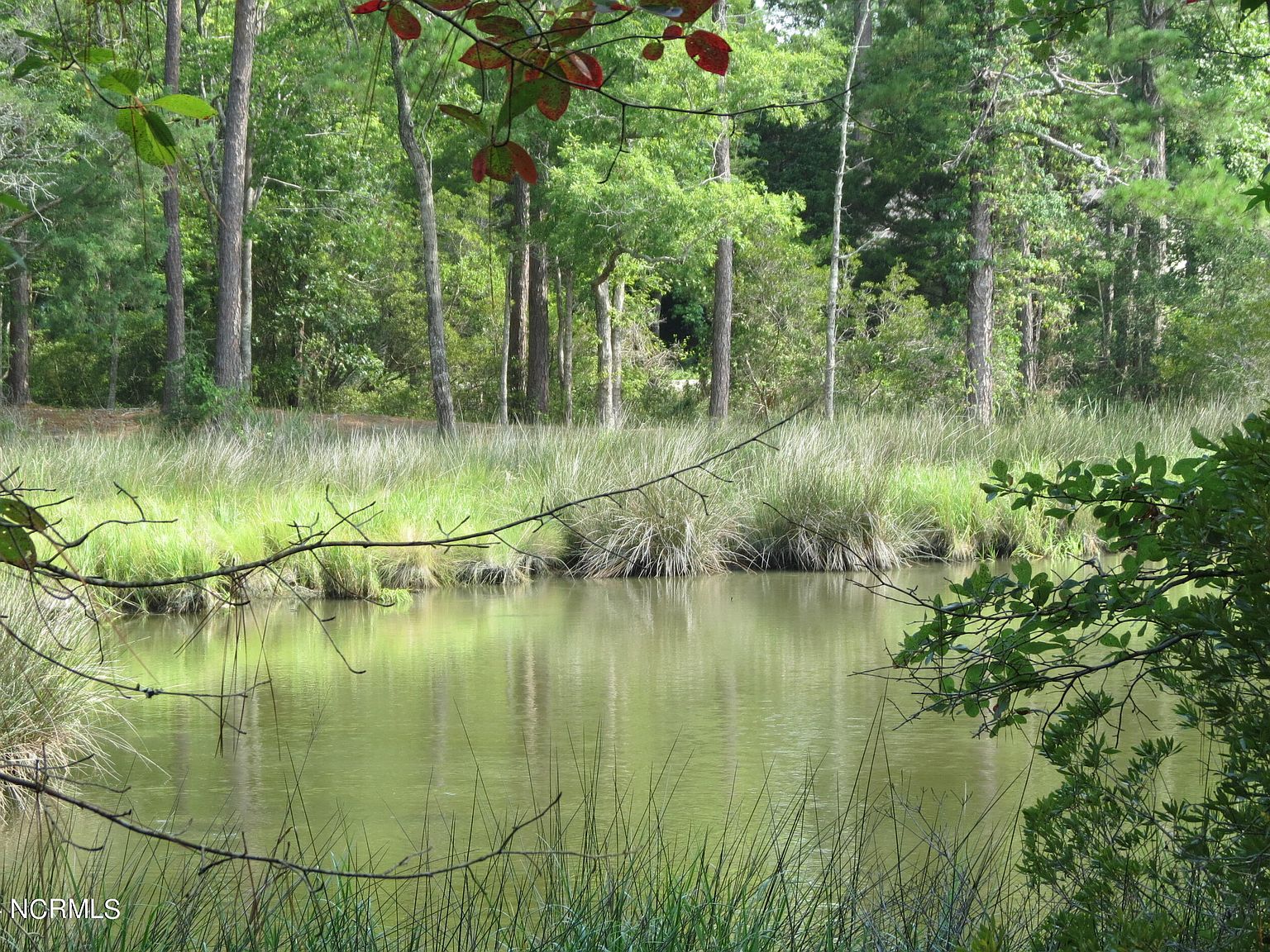 143 Shoreline Court, Oriental, NC 28571 | MLS #100458118 | Zillow