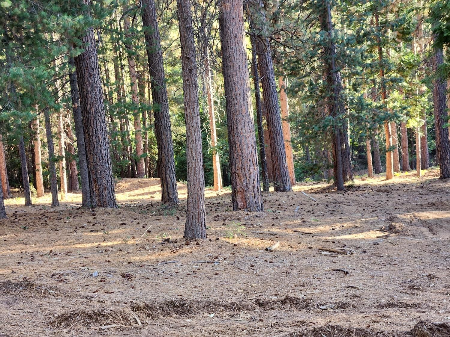 165 Secret Town Ln, Colfax, CA 95713 | Zillow