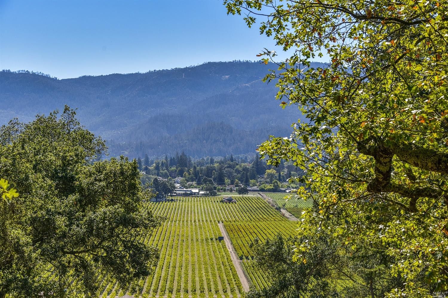 146 Knoll Circle, Helena, CA 94574 | Zillow