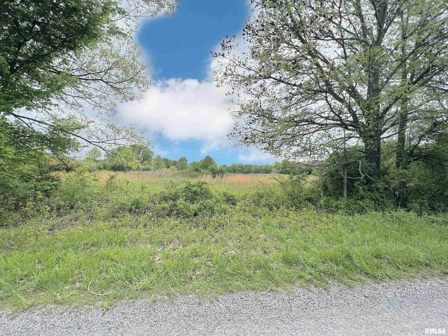 0 Franklin St, Coello, IL 62825 | Zillow