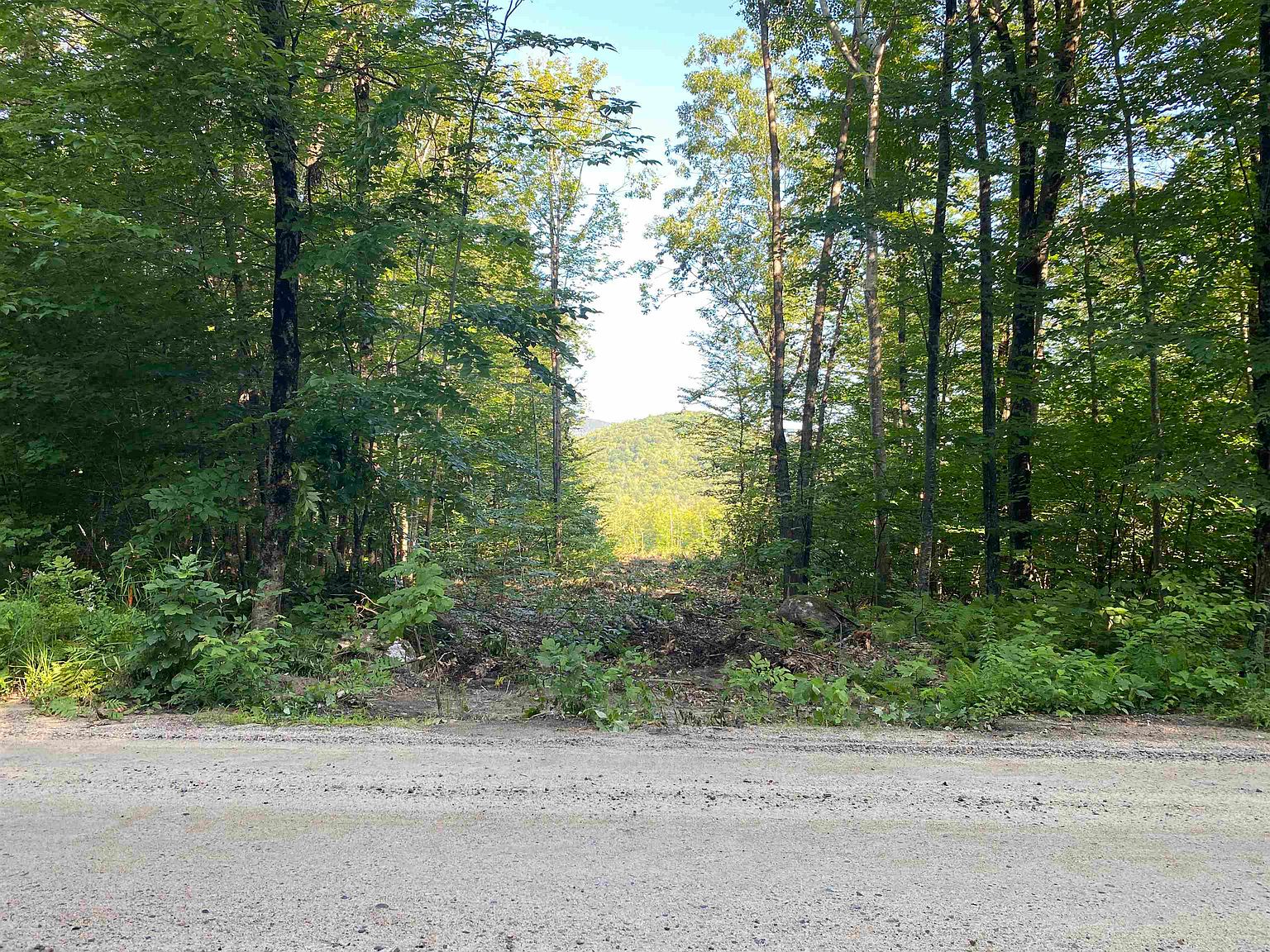 Lot 63-11-1 Ossipee Mountain Road UNIT 63/11-1, Ossipee, NH 03864 | MLS ...