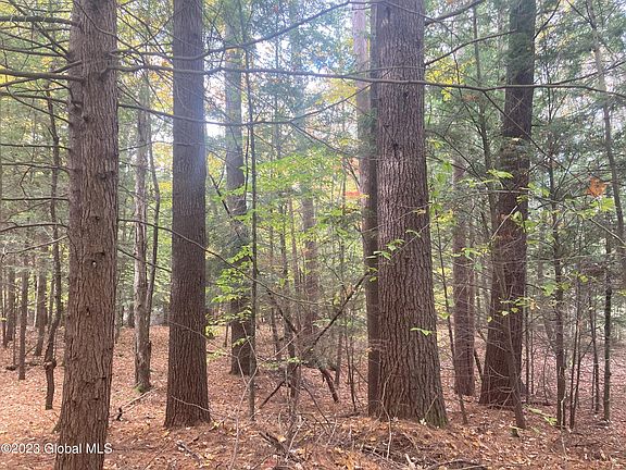 103 Edgecomb Pond Road, Bolton Landing, NY 12814 | MLS #202327557 | Zillow