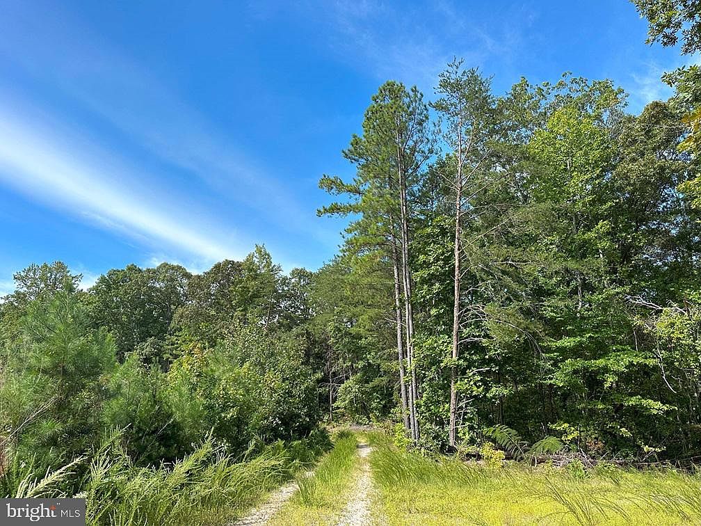 Rose Mount Road Route 635 Tract Rose Mount #3, Hustle, VA 22476 | MLS # ...