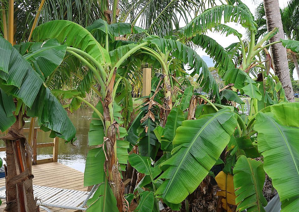 1809 SW 9th Dr, Pompano Beach, FL 33060 | Zillow