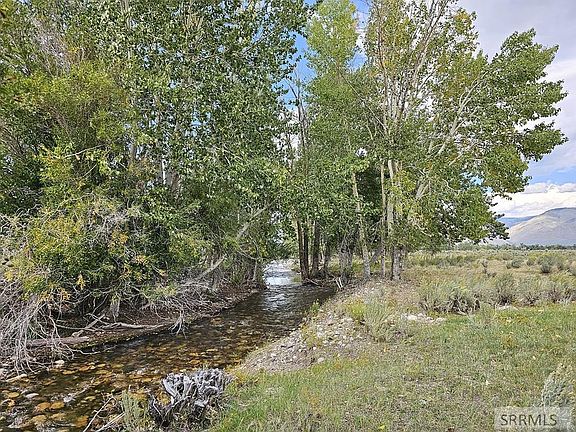 Timber Creek Rd, Leadore, ID 83464 | MLS #2158051 | Zillow