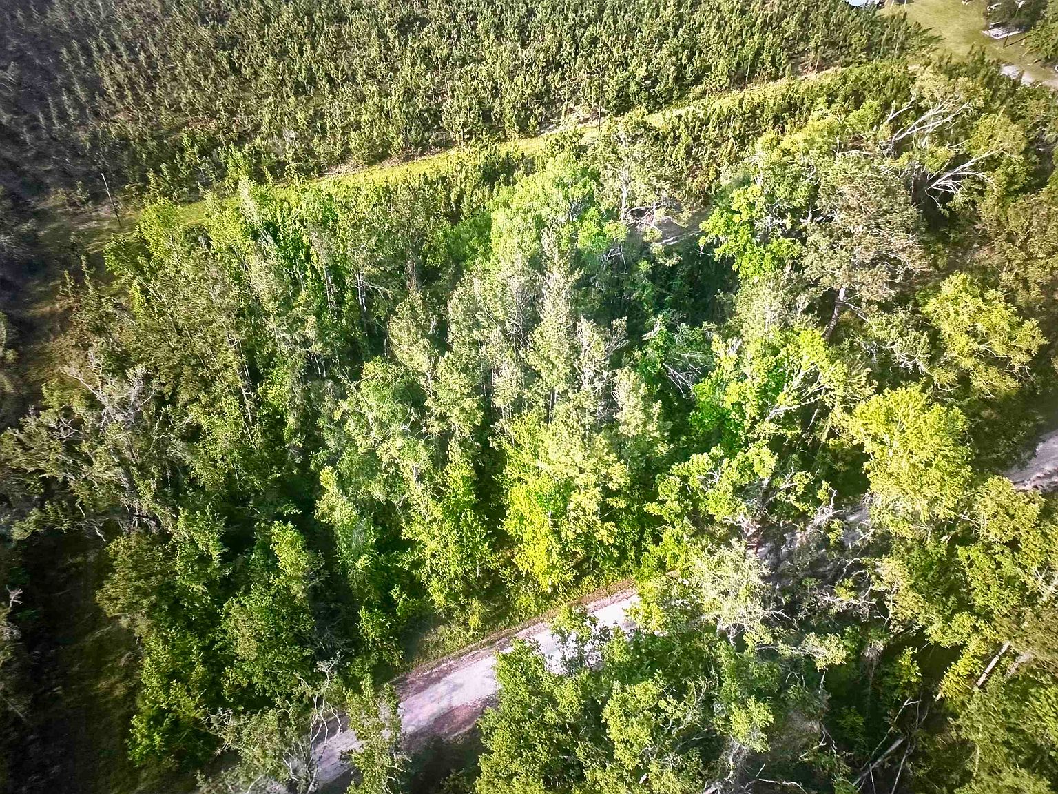 0 NE Rue Dr, Pinetta, FL 32350 | MLS #384763 | Zillow