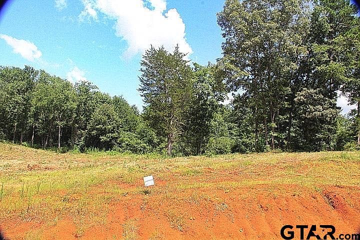 985 Stone Chimney Rd LOT 12-3608, Bullard, TX 75757 | MLS #24000515 ...