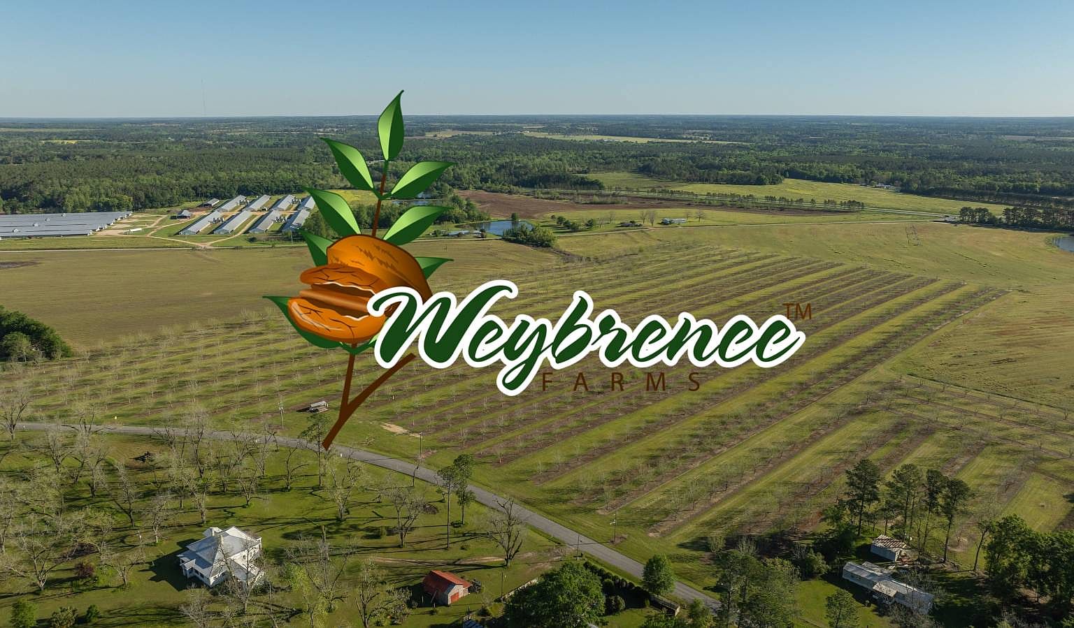 8210 N Church St, Meigs, GA 31765 | MLS #11275357 | Zillow