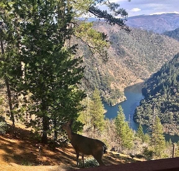 7253 Slab Creek Ct, Placerville, CA 95667 | Zillow