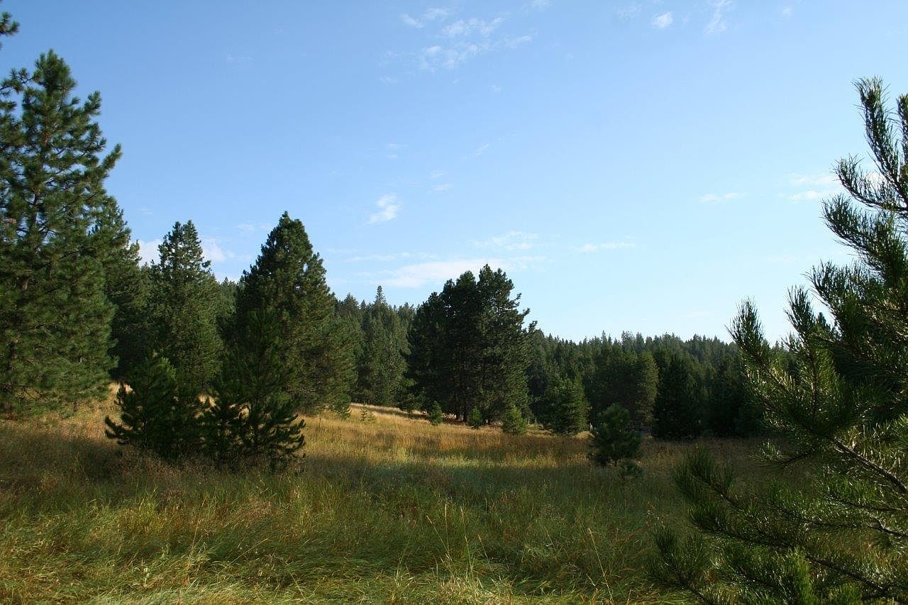 4546A Wild Deer Way, Springdale, WA 99173 | Zillow