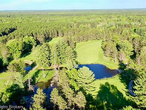 4687 Stickfort Rd, Lewiston, MI 49756 | MLS #20230019770 | Zillow