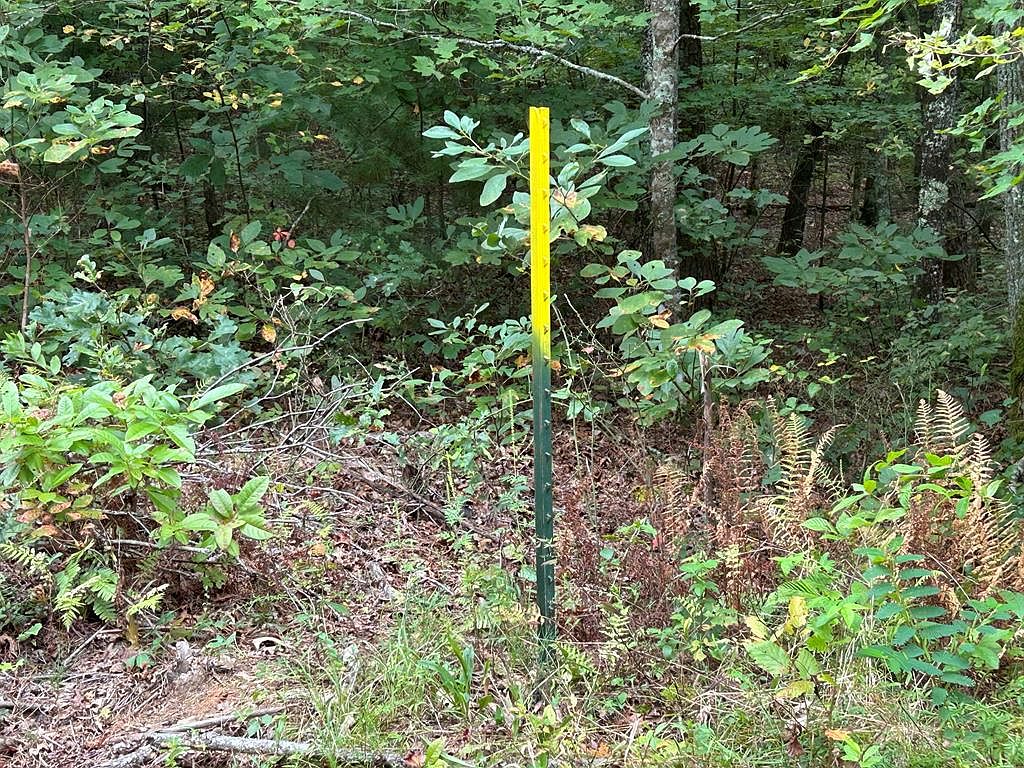 2143AC Blue Tick Dr, Mc Caysville, GA 30555 | Zillow